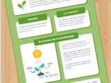 Ficha Informativa Ejemplos Formatos Word Excel