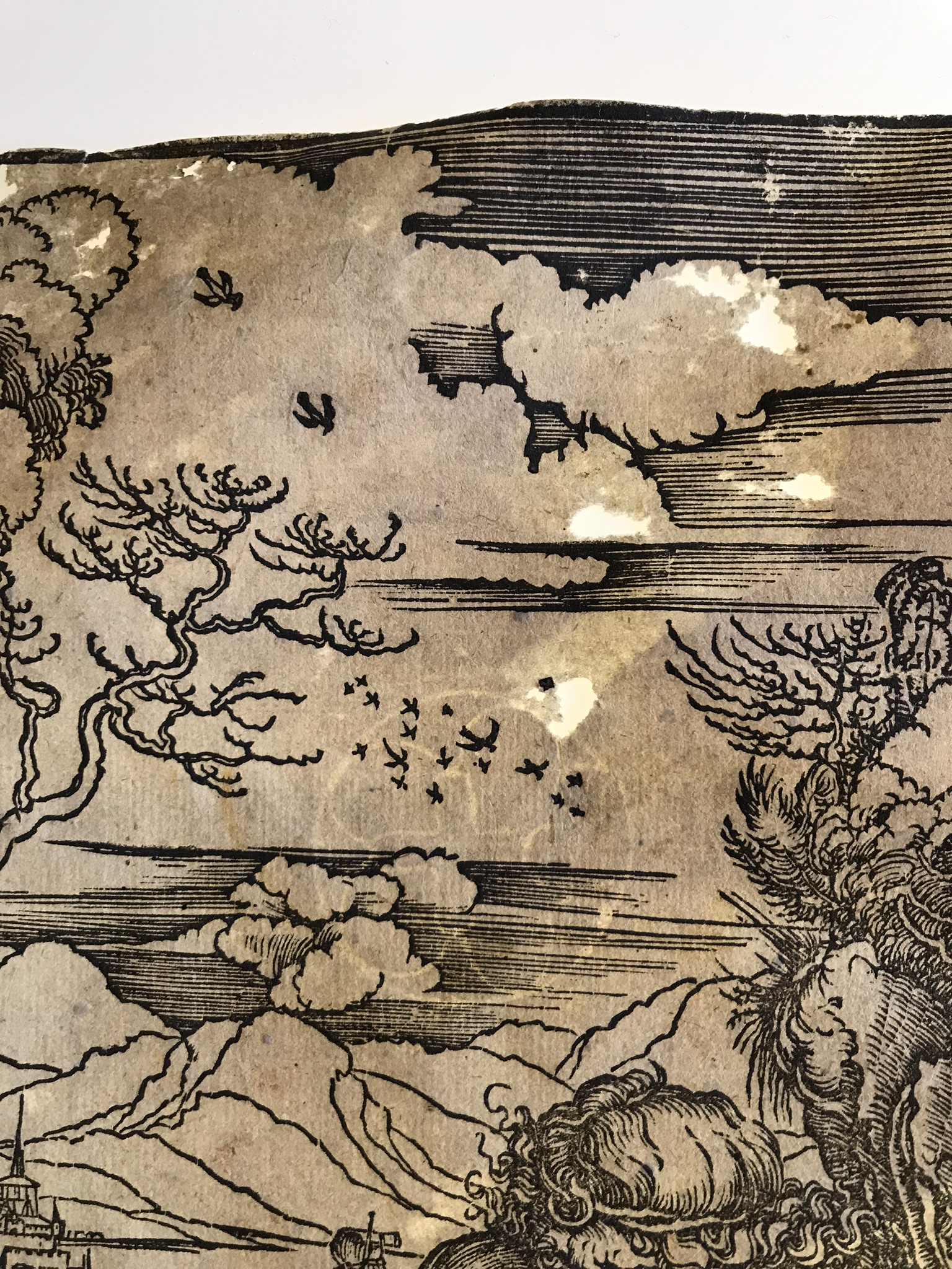 ALBRECHT DURER WOODCUT OF SAMSON RENDING THE LION FINISHED | Miller Fenwood