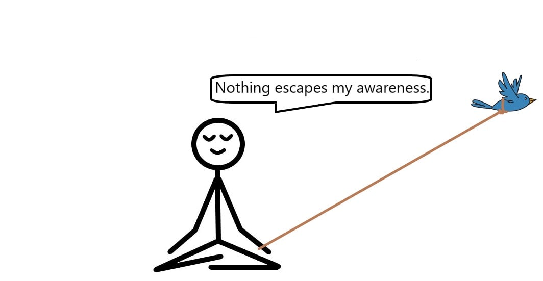 The Difference Between Consciousness and Awareness - Mindfulled | Luka ...