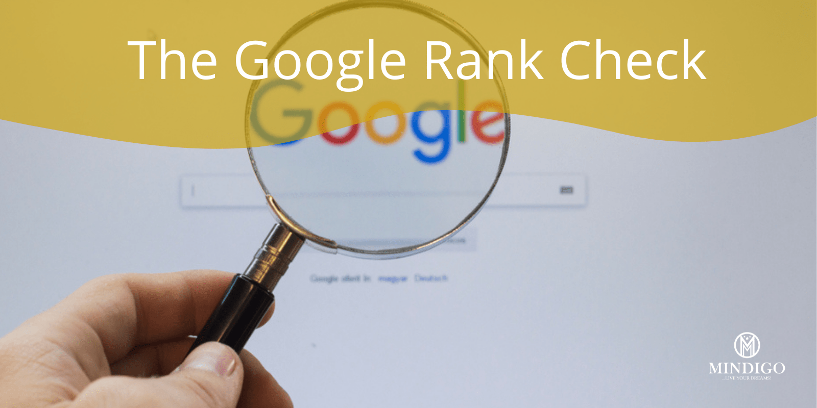 The Google Rank Check - Mindigo Global LTD