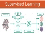 Supervised Vs Unsupervised Learning Mindlab