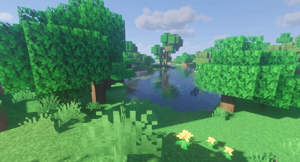 Raspberry Shaders 1.20.2 → 1.19 | Minecraft Shader