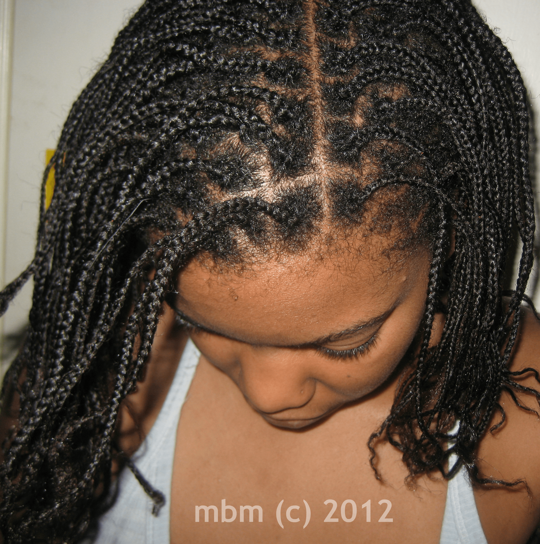 My Fall Mini Braids- Update Week 1 – The Mini Braid Method
