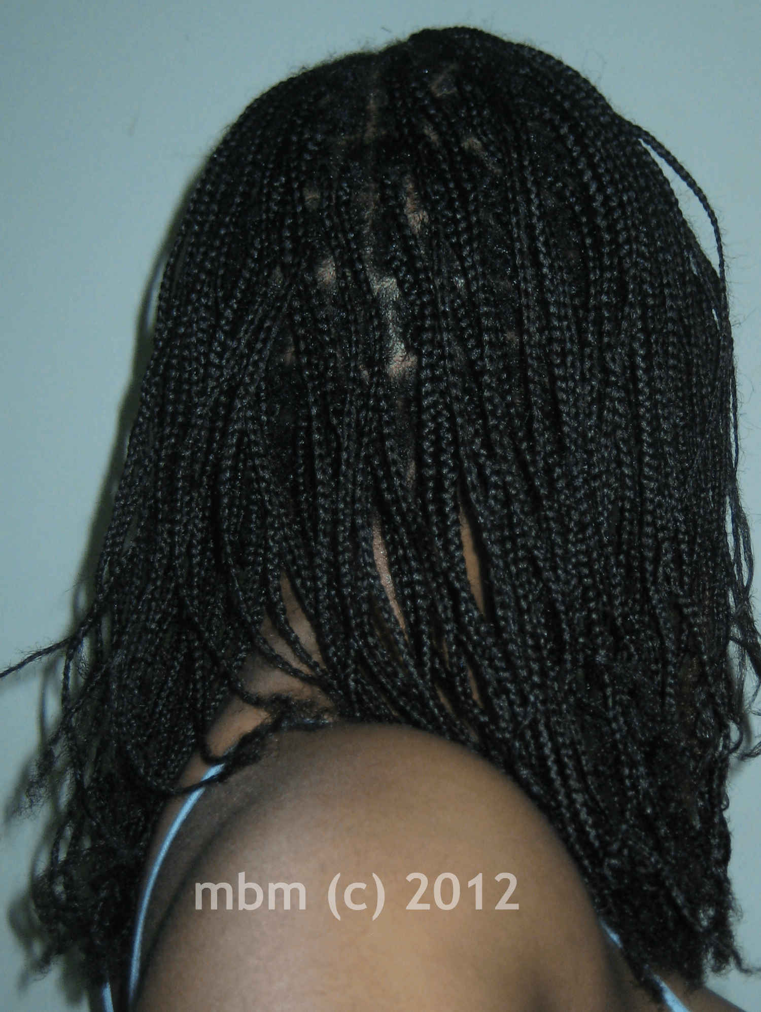 More Pics of My Fall Braids – The Mini Braid Method
