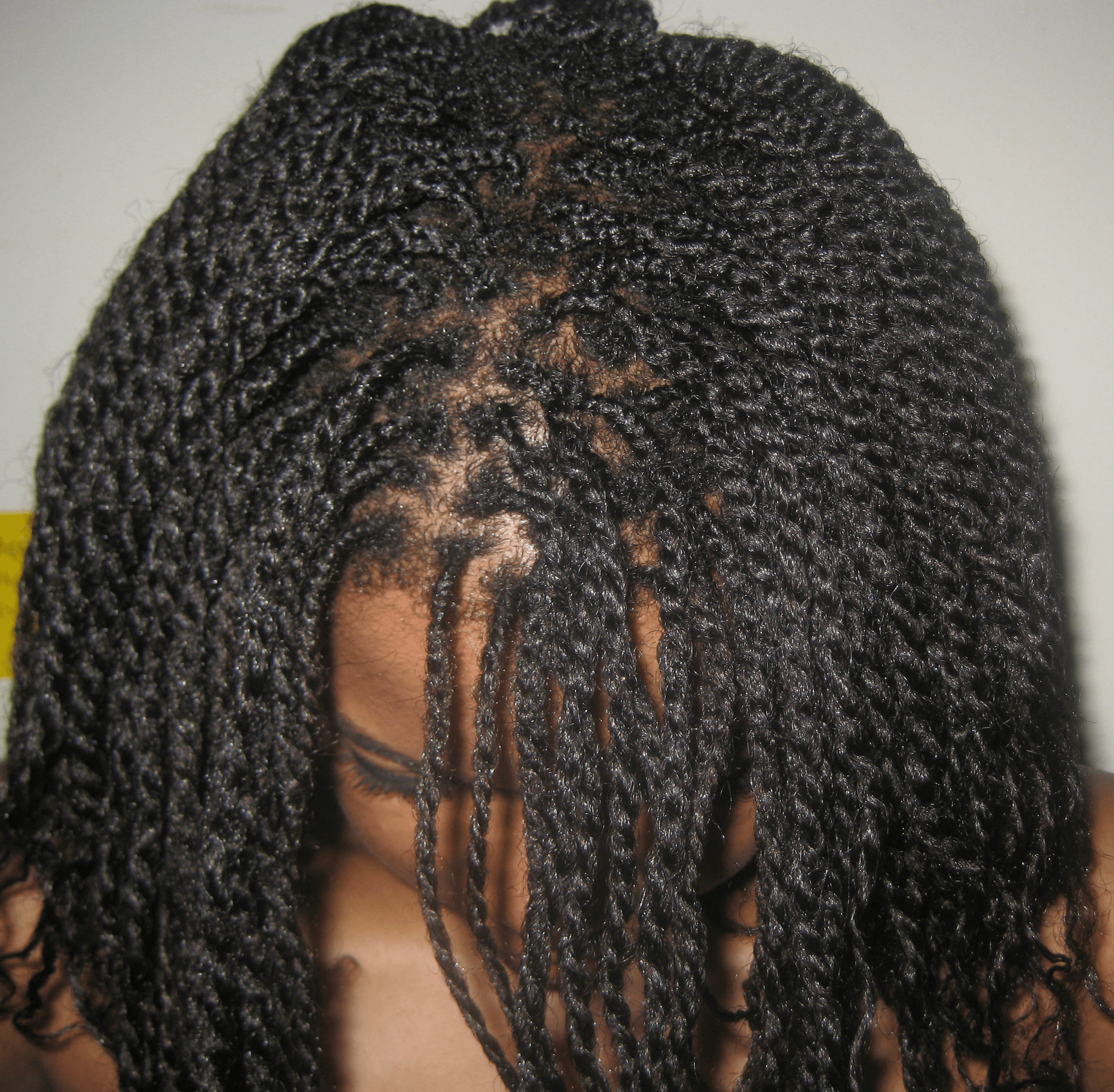 My Spring Mini Twists- Update Week 1 – The Mini Braid Method