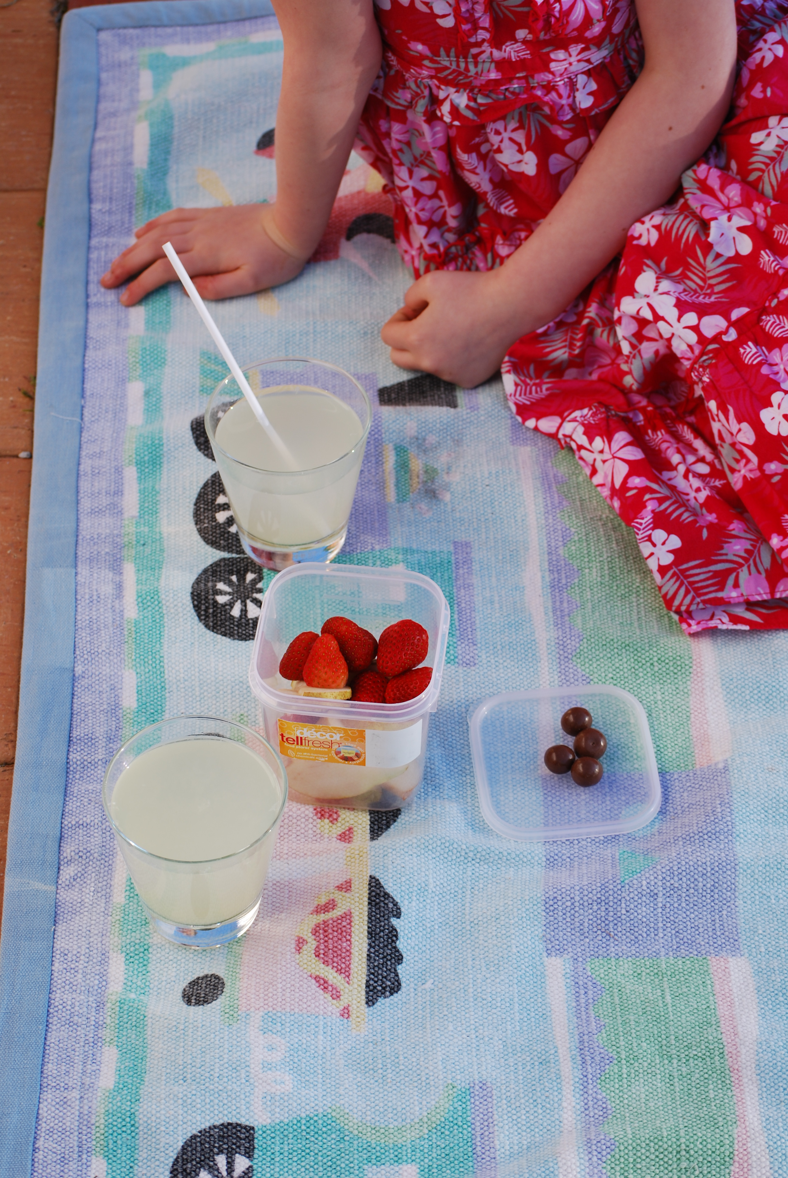 Picnic for two | minxy-moo