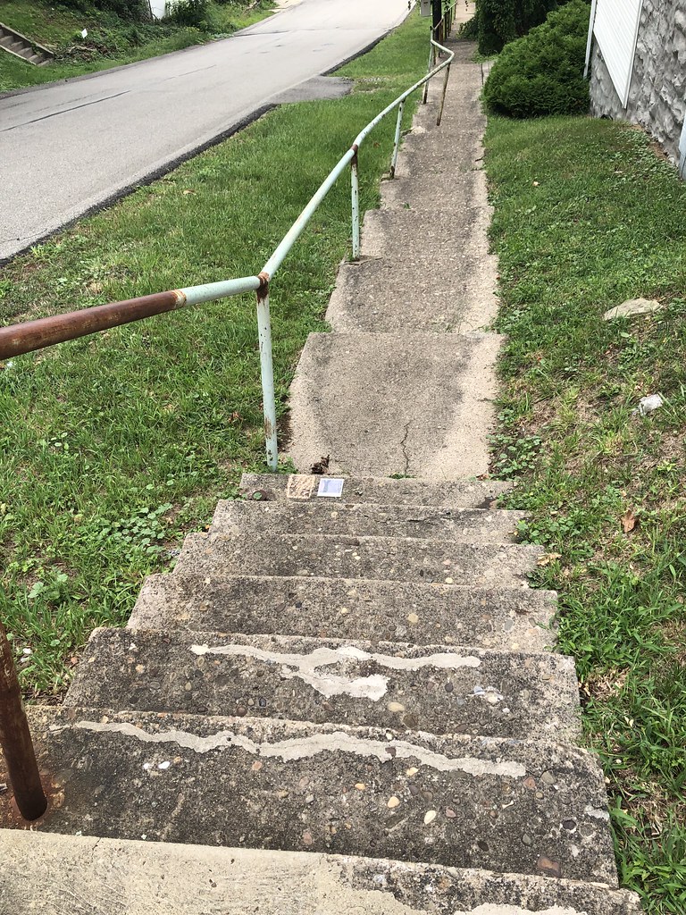 Trip #629 Coast Avenue, Beechview - Mis.Steps