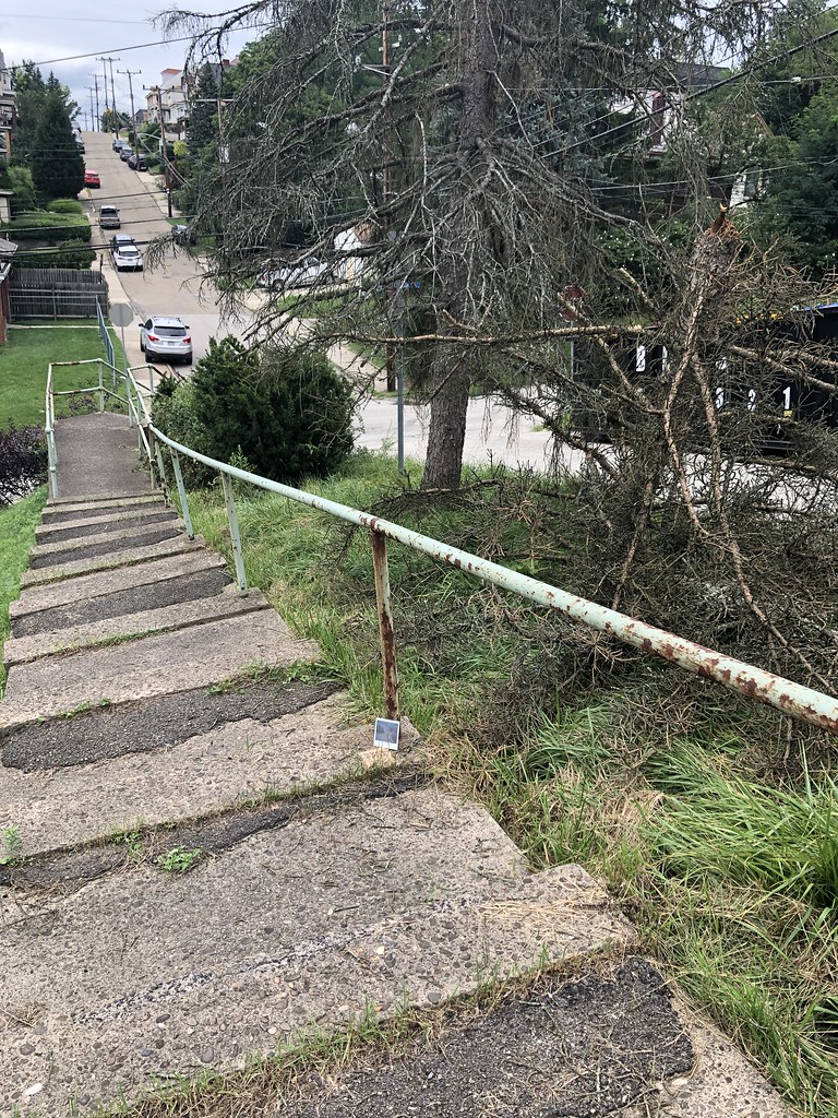 Trip #630 Belasco Avenue, Beechview - Mis.Steps