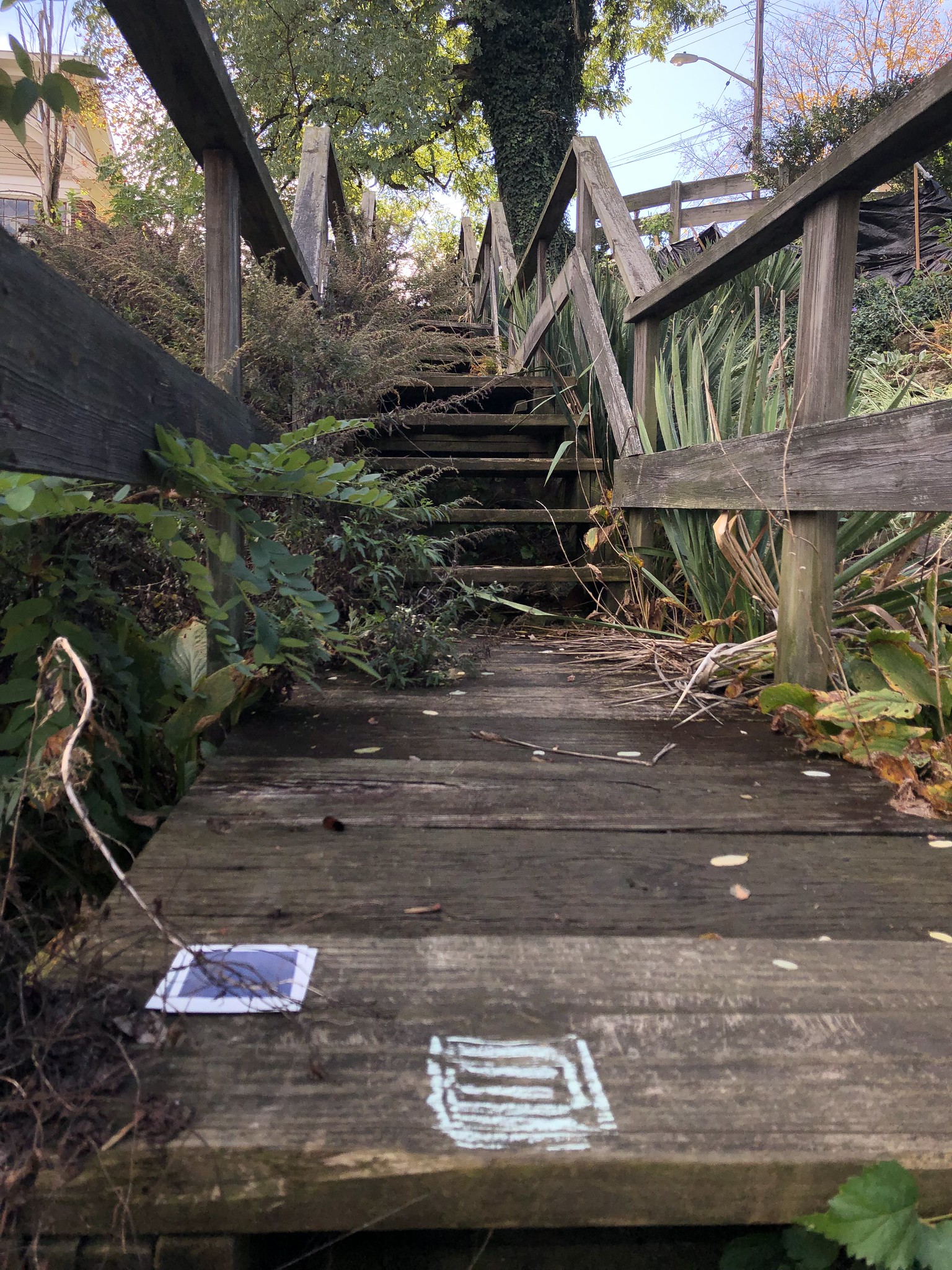 Trip #659 Dagmar Avenue, Beechview - Mis.Steps