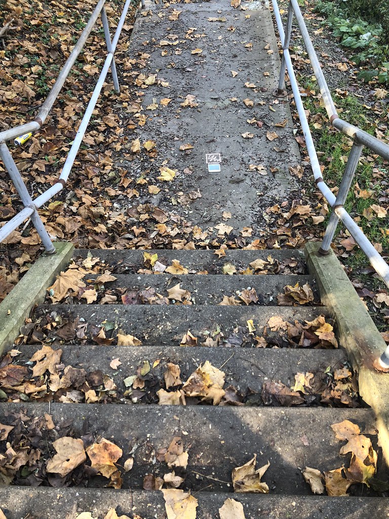 Trip #665 Waltham Street, Beechview - Mis.Steps