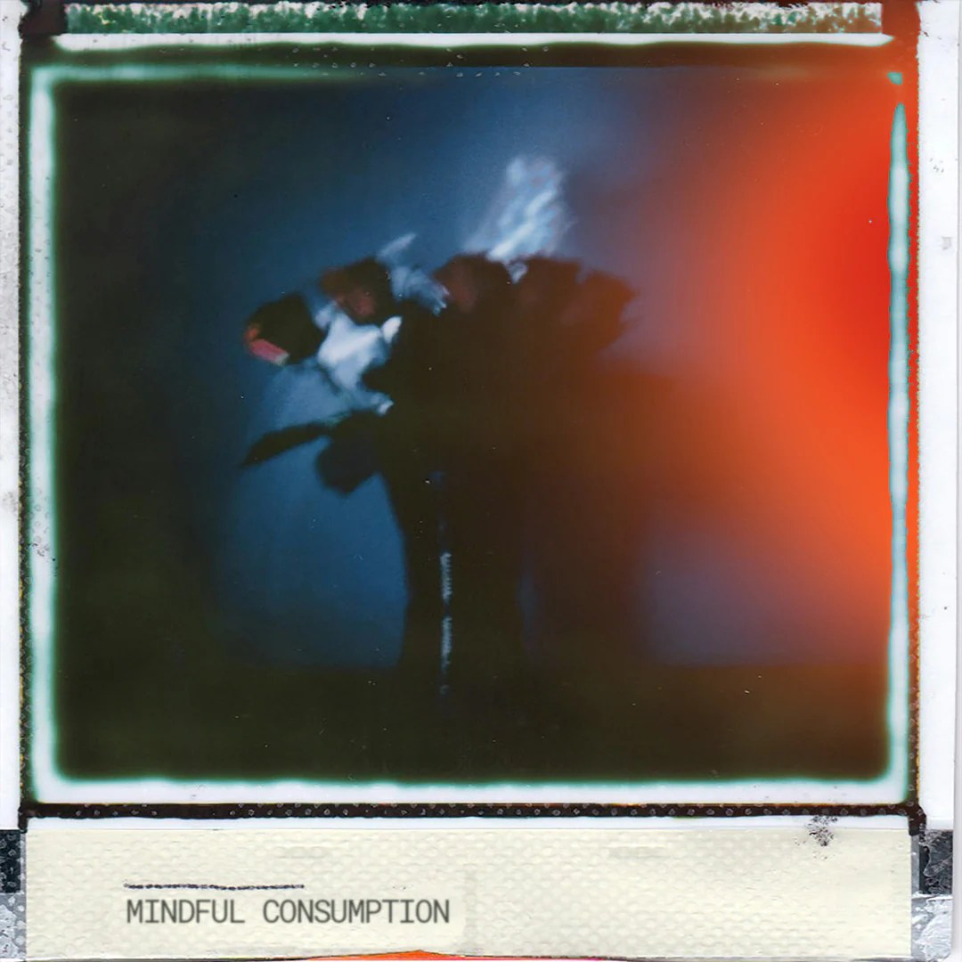 Mastering Mindful Consumption Miss Grass