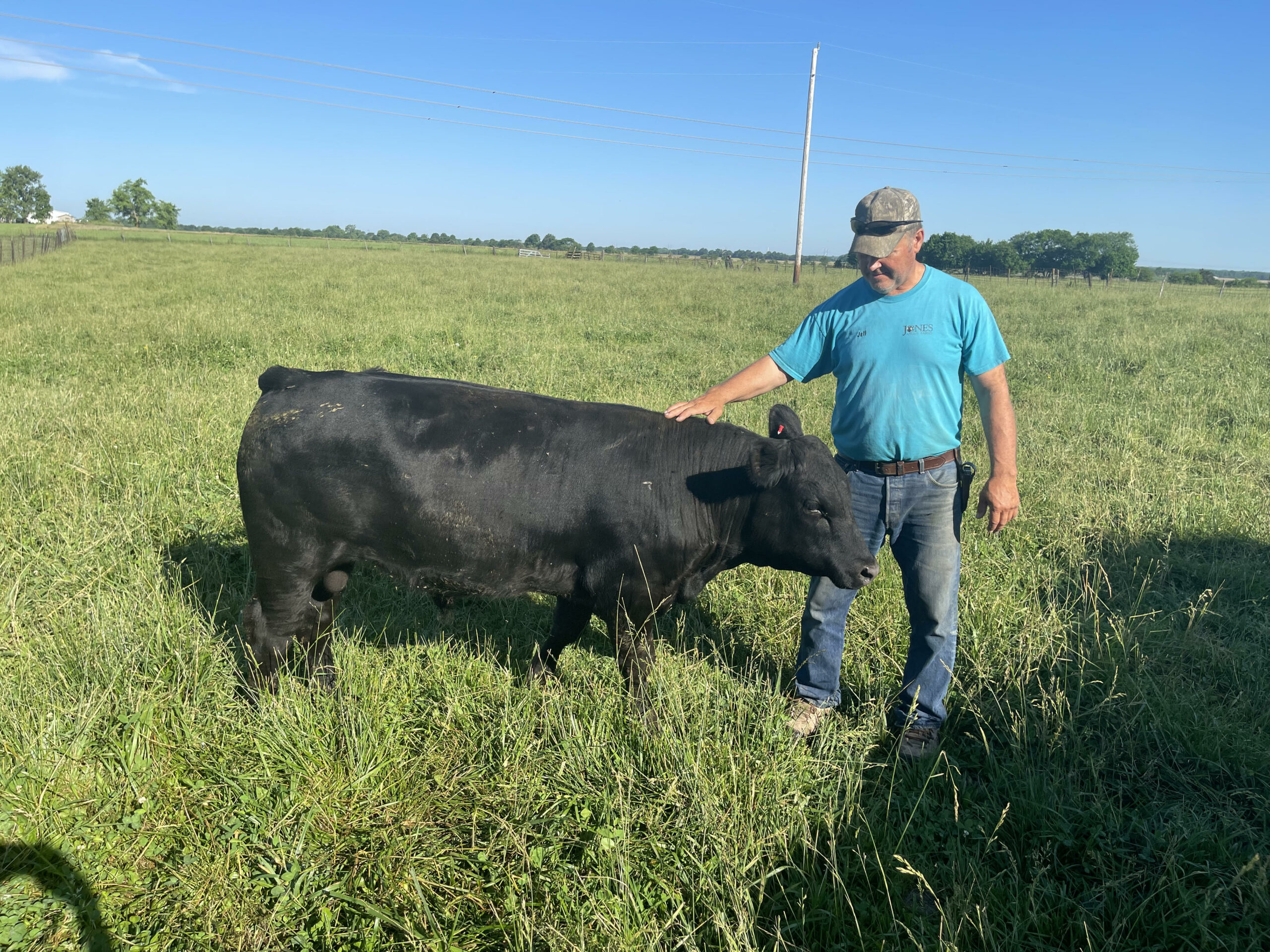 As massive livestock operations move in, fighting them gets harder for ...