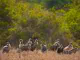 Solio Ranch Safari Guide Fees Prices Weather 2025