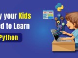 Teaching Children The Python Programming Language Mistial