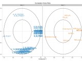 Rplot Mixomics