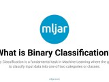 What Is Binary Classification