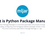 What Is Python Package Manager