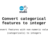 Convert Categorical Features To Integer
