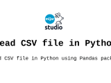 Read Csv File In Python