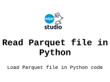 Read Parquet File In Python