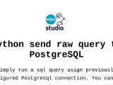 Python Send Raw Query To Postgresql