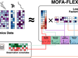 Interpretable Integration Of Multi Omics Data Mlo Lab