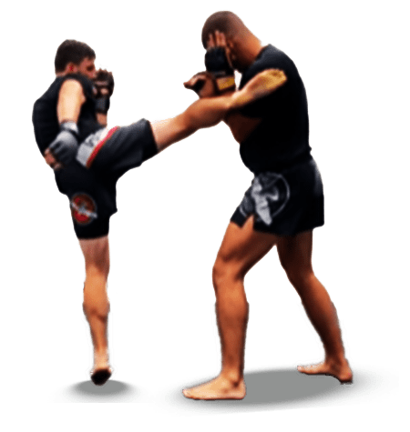 Martial-Arts-Fighter-Kick | MMA Training Program