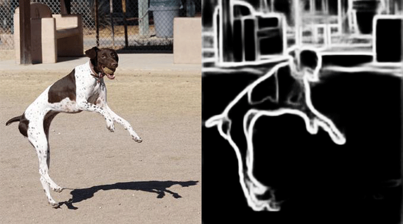 Dynamic Feature Integration For Simultaneous Detection Of Salient