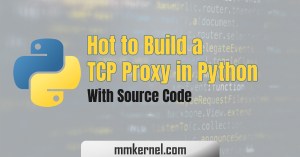 How to Create TCP Proxy in Python - MMkernel.com