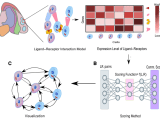 Spatial Omics M Muzamil Khan