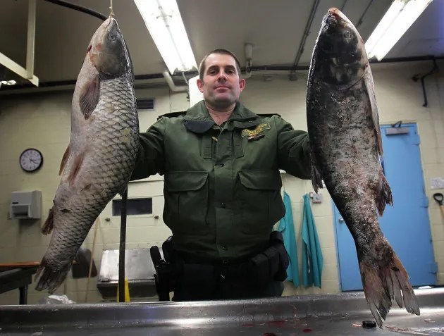 The Star’s view: Asian carp threat.. - Ontario Ministry of Natural ...