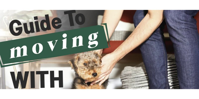 Helpful Tips For Moving With A Pet Mobile Dog Gear