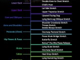 Stretching Chart