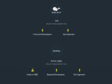 Software Development Team Structure Set Up Mobilunity