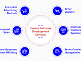 Custom Software Solutions