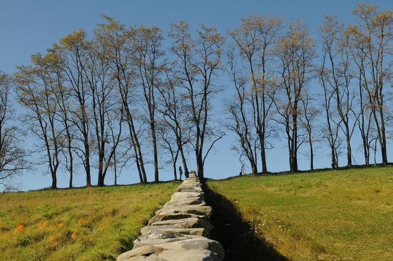 10 "Unusual" but Unique Walls Around the World - moco-choco