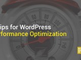 5 Tips For Wordpress Performance Optimization Mode Effect