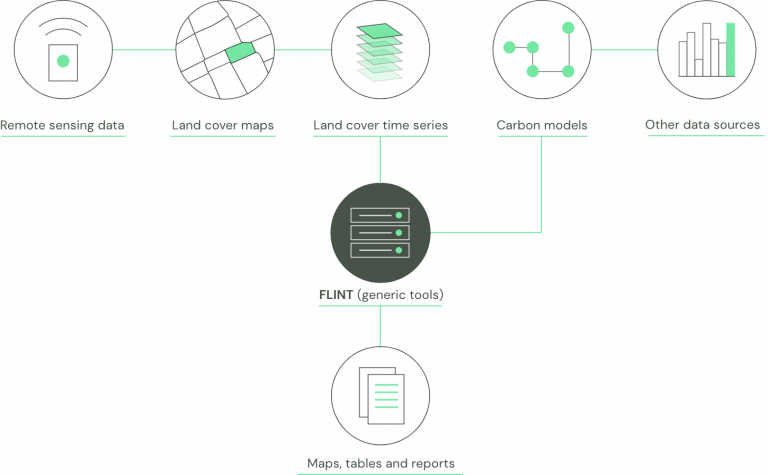 What We Do – Moja Global