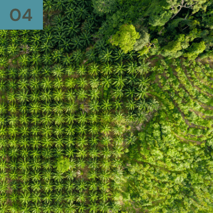 FLINT – Moja Global