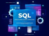 Python Automation Vs Bash And Powershell Comparison Moldstud