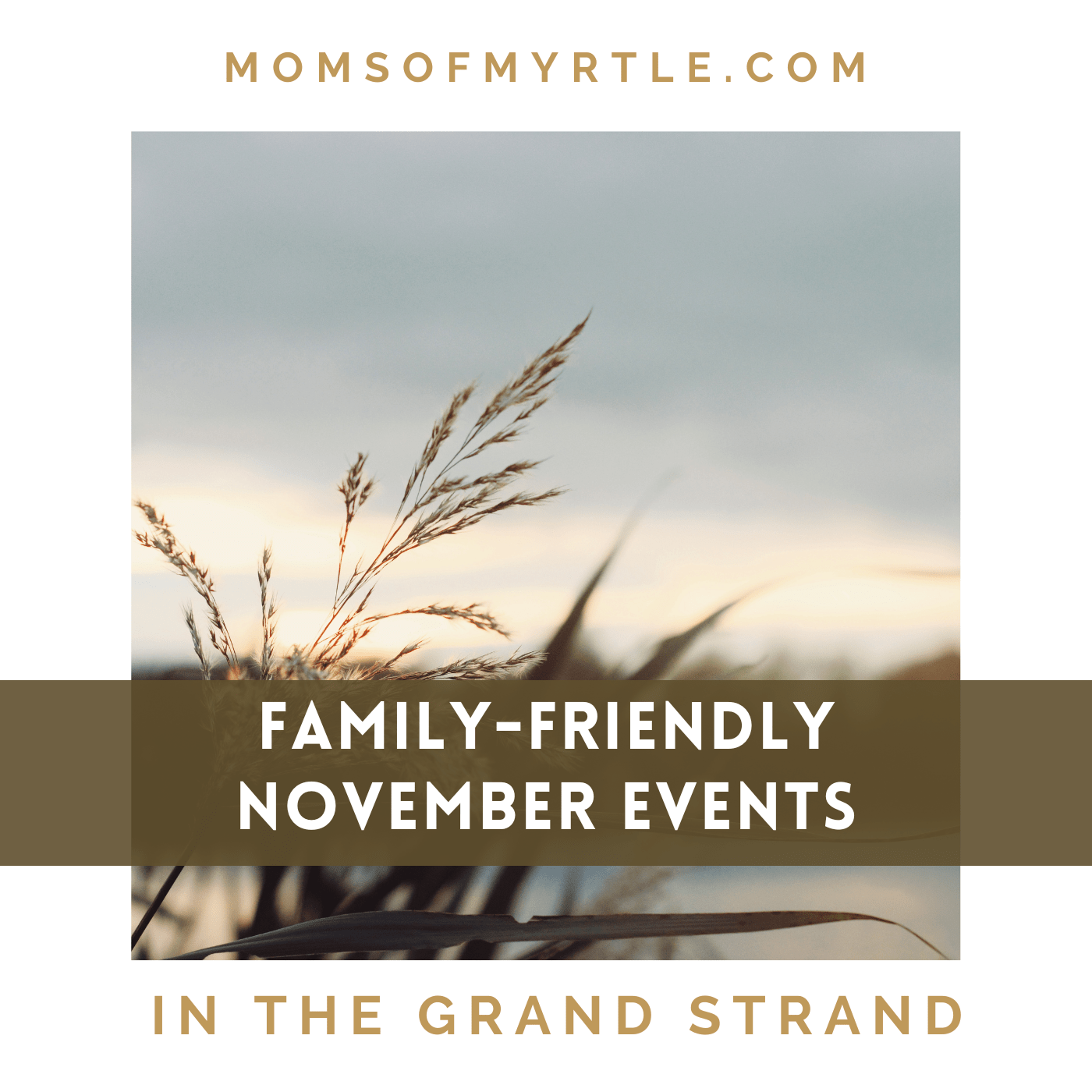 What to do in Myrtle Beach in November? | Moms of Myrtle