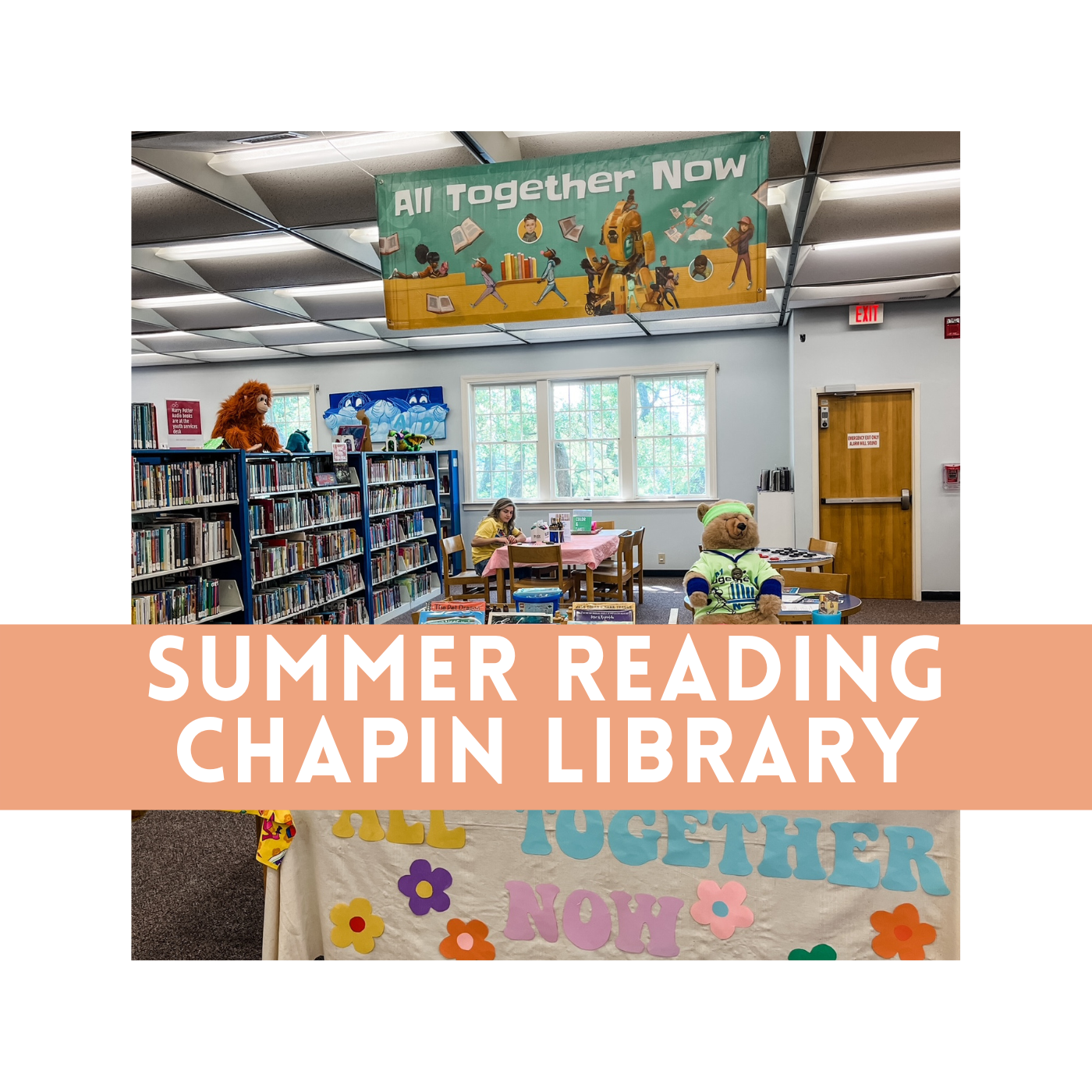 Do Not Miss the Summer Reading Program at Chapin Library | Moms of Myrtle