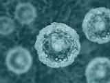 What Is Stem Cell Technology Monomousumi