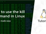 Linux Kill Process Kill Command In Linux