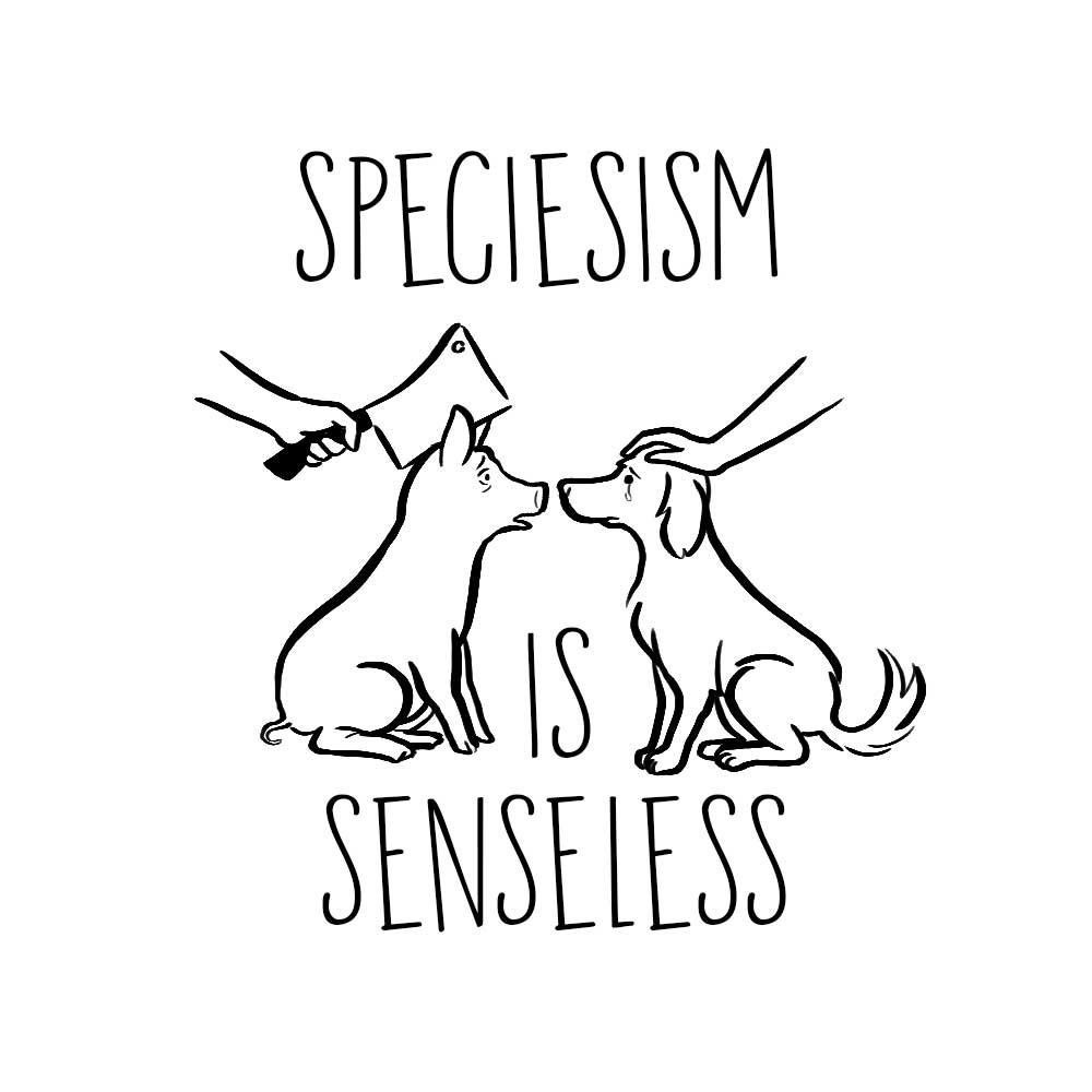 Cuteness: Super Short Story #516 – Moonpointer: Buddhist Blog of ...