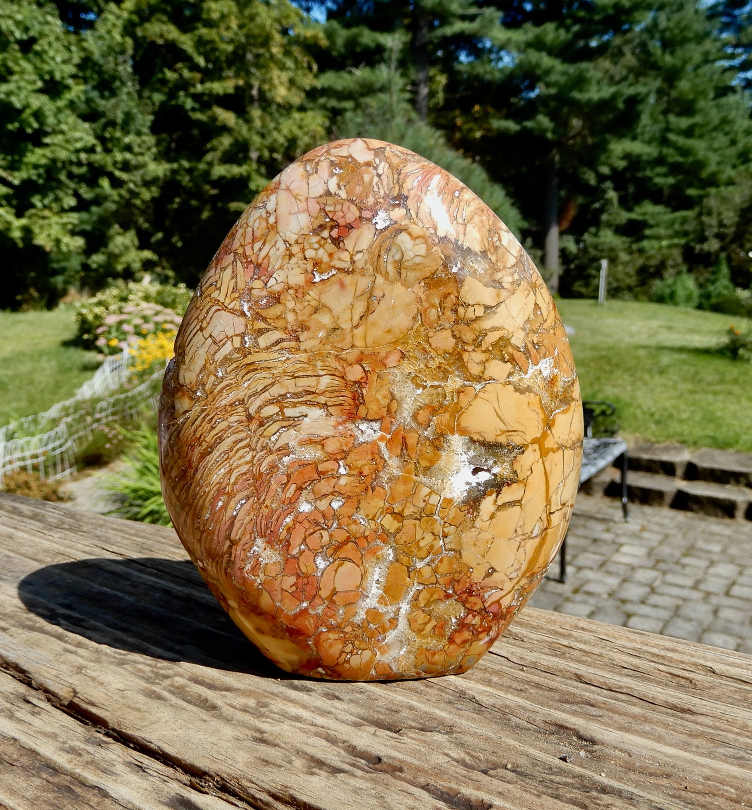 Ibis Jasper (Brecciated) Free Form - MOON SOUL MAGIC