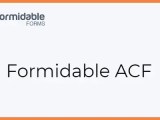 Download Formidable Acf Wordpress Plugin Moreplugins
