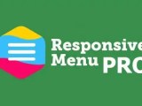 Download Responsive Menu Pro Wordpress Plugin Moreplugins