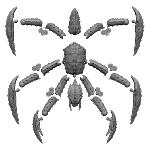 Warrior Bug Morphonauts