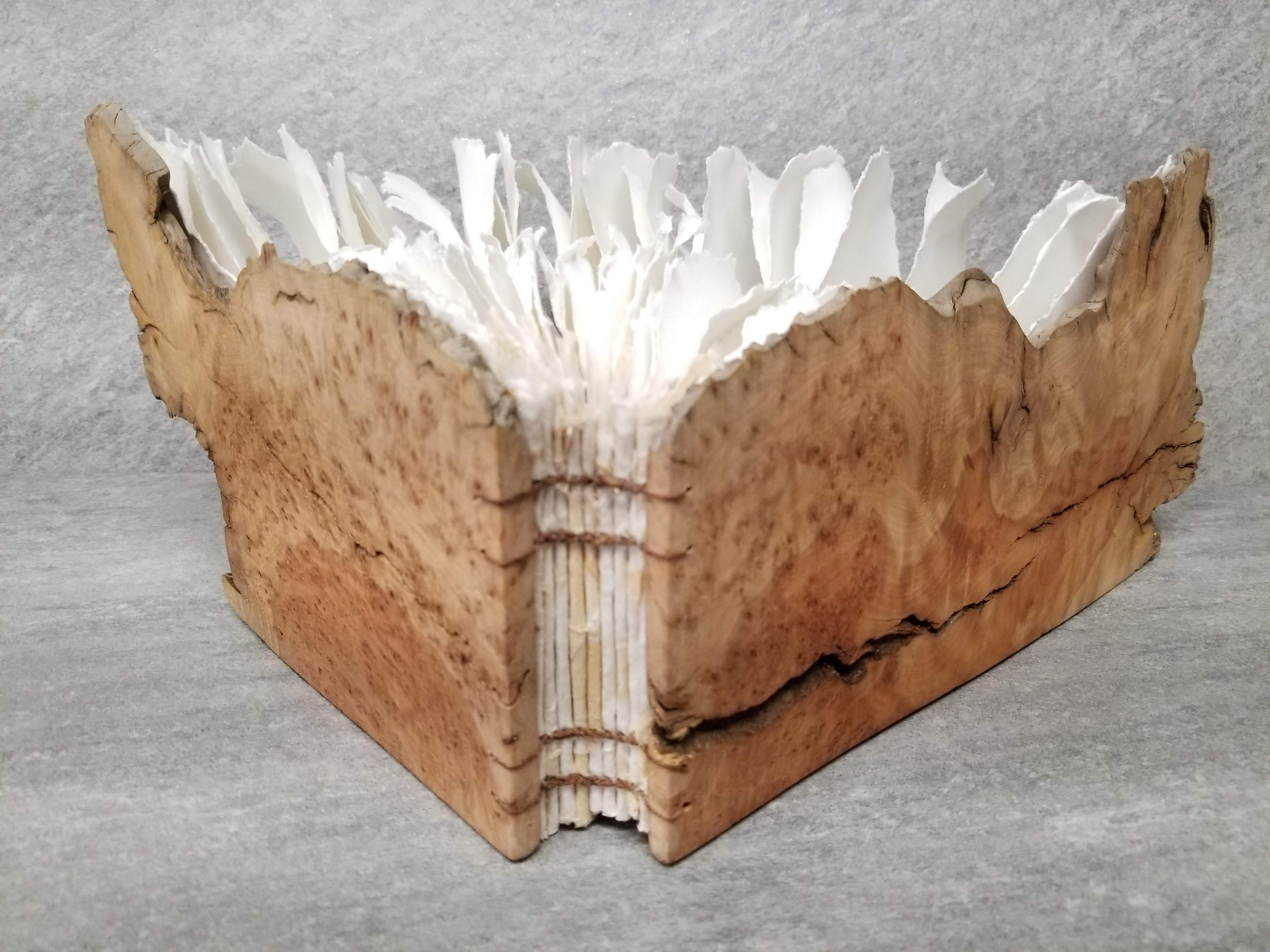 The Rabbit Hole – Tess Mosko Scherer